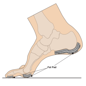 Ball of Foot and Toe Pain – NHS Forth Valley