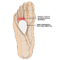 Ball of Foot and Toe Pain – NHS Forth Valley
